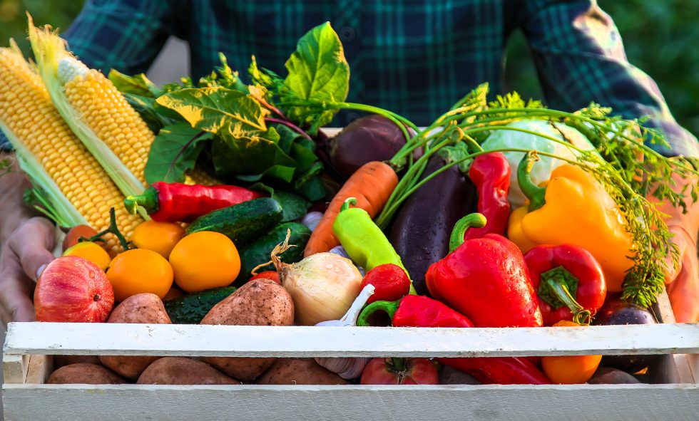 Abel & Cole: Growing veg (boxes) | Join the Dots